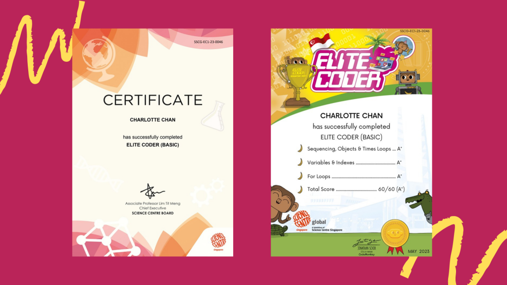 Elite Coder — EduSTEEMS